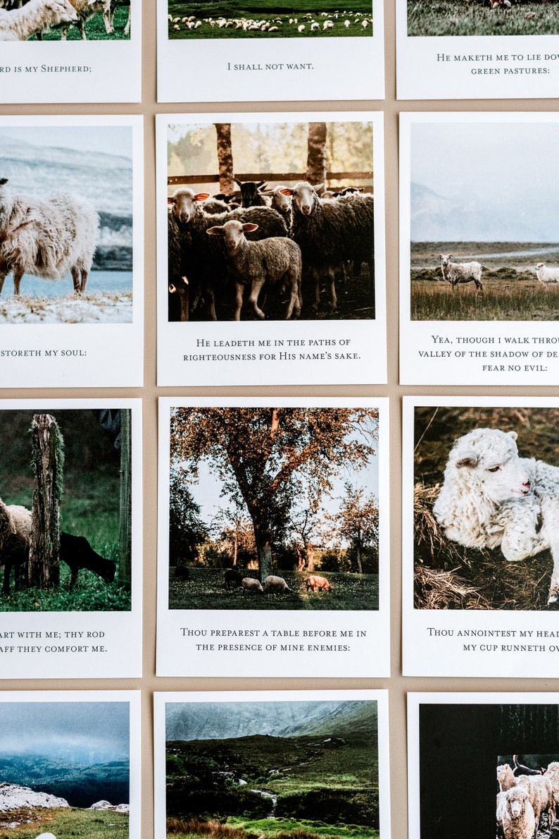 PRINTABLE Psalm 23 Scripture Cards, Affirmation Cards, Daily Devotional ...