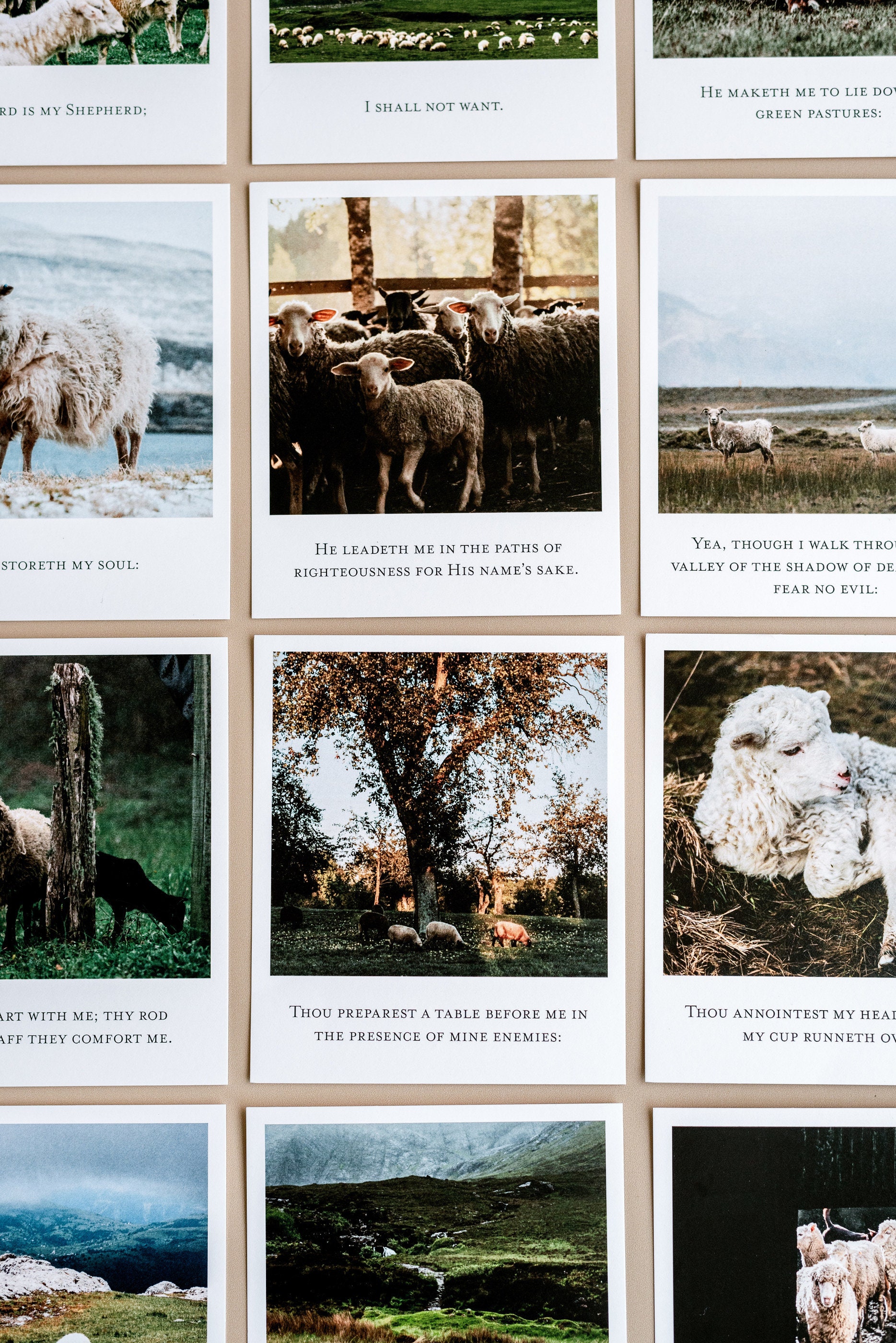 PRINTABLE Psalm 23 Scripture Cards, Affirmation Cards, Daily Devotional ...