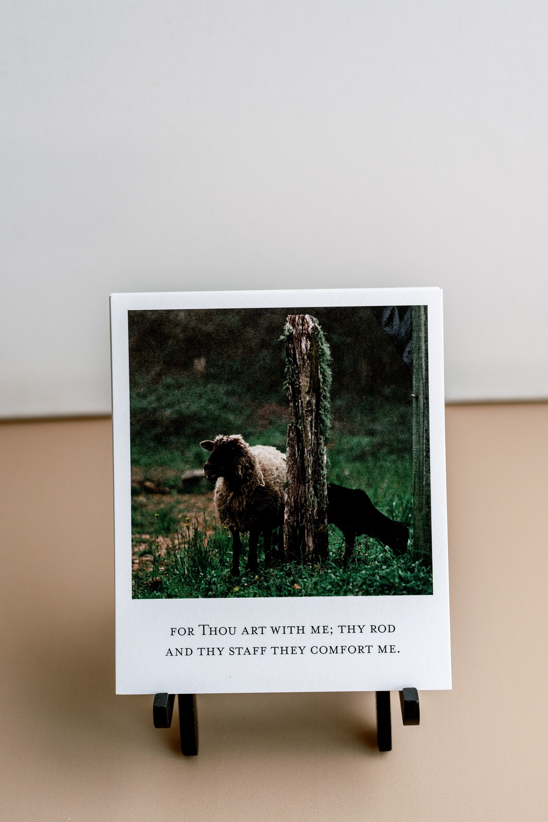 PRINTABLE Psalm 23 Scripture Cards, Affirmation Cards, Daily Devotional ...