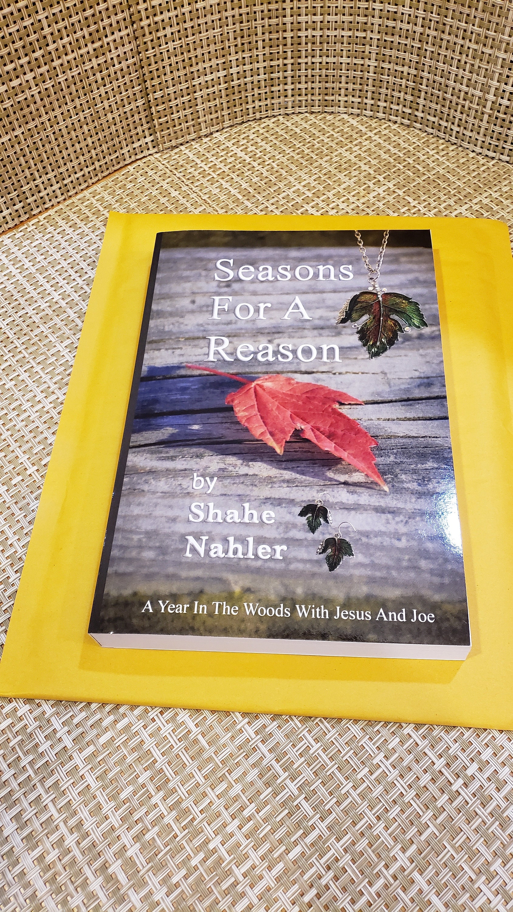 My Books Book Four Seasons For A Reason | Etsy