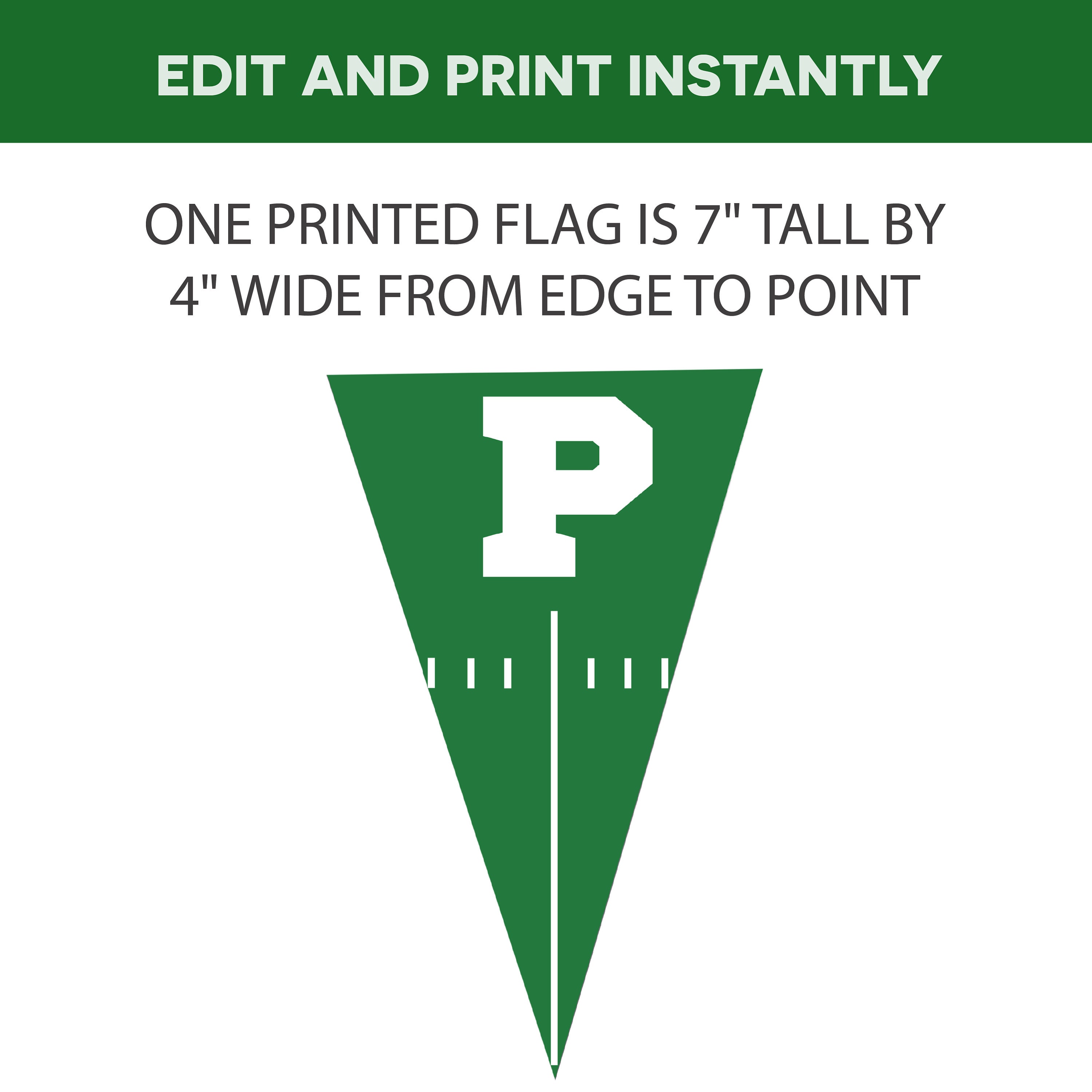 Editable Football Birthday Banner, Football Party Flag Banner, Instant ...