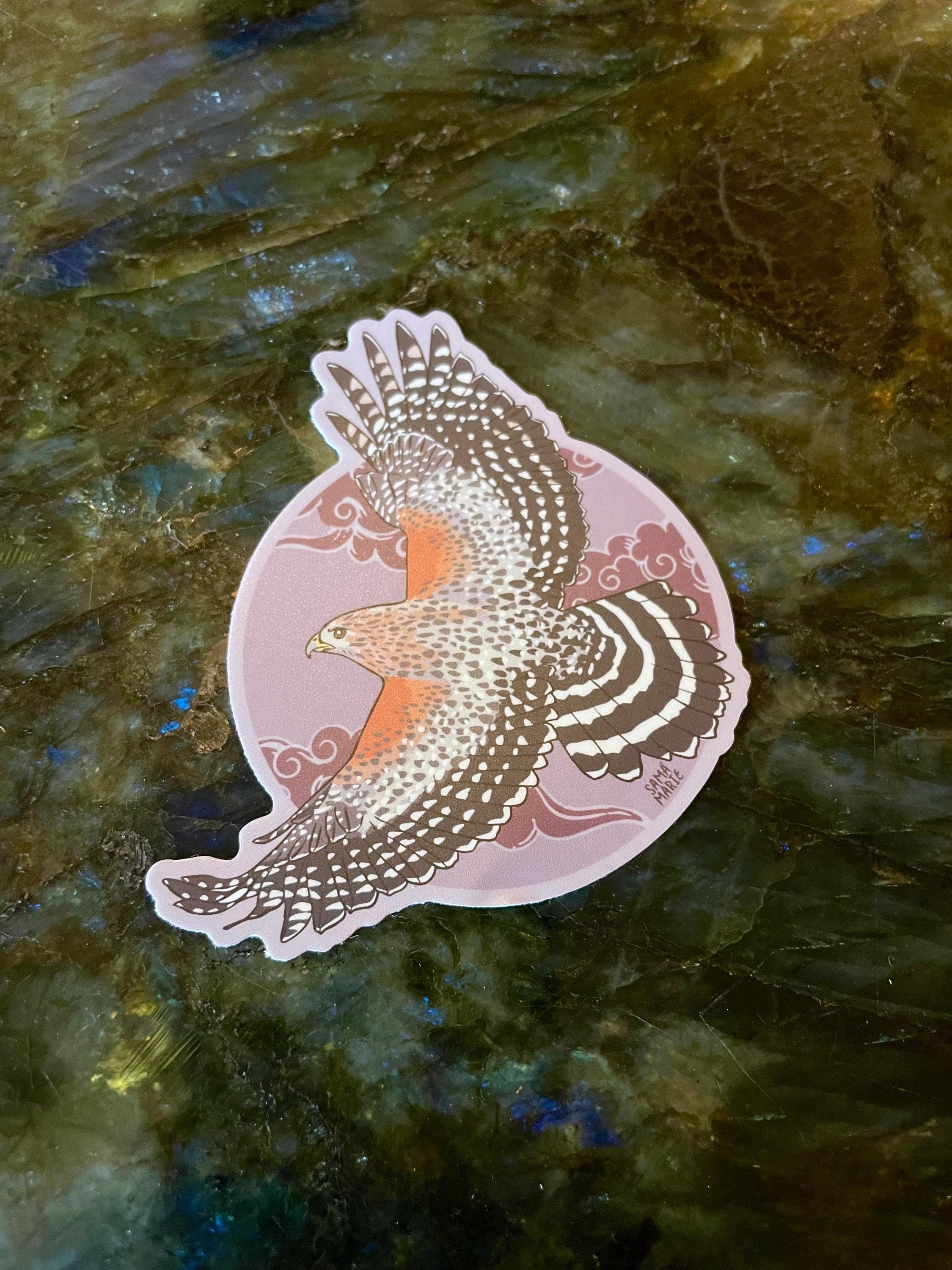 California Raptors Stickers / American Kestrel / Red Tailed Hawk ...