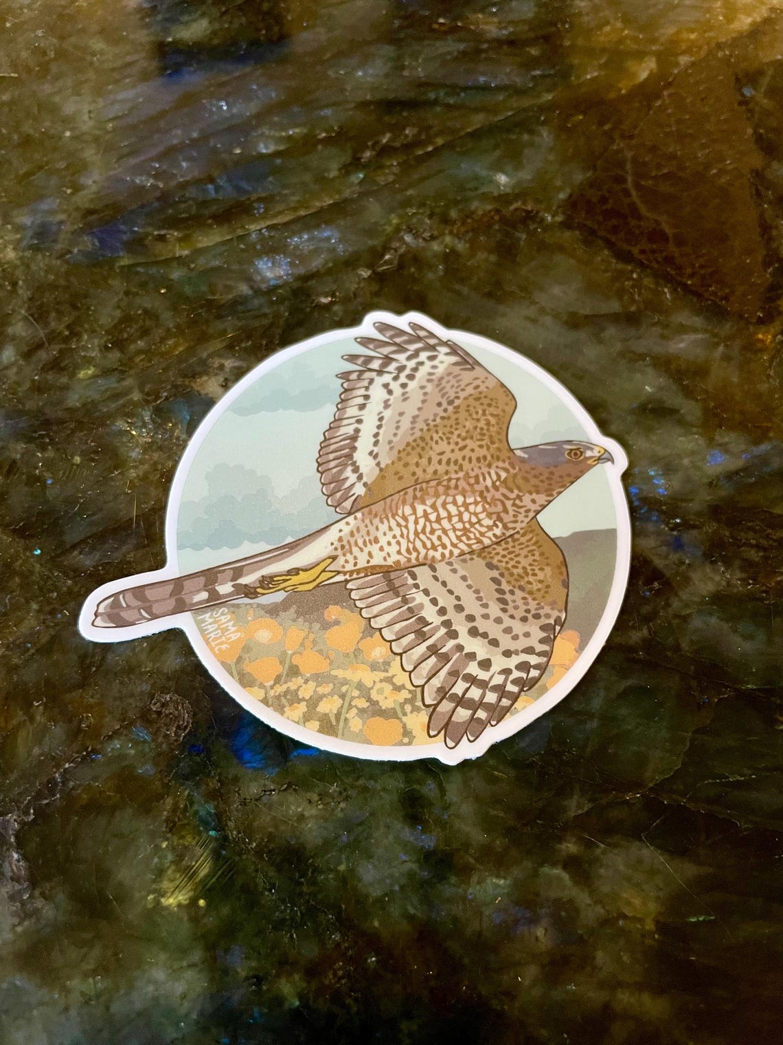 California Raptors Stickers / American Kestrel / Red Tailed Hawk ...