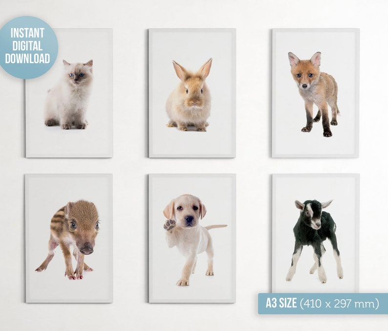 Baby Animals Print Full Set | Printable Nursery Wall Art Decor | Kids ...