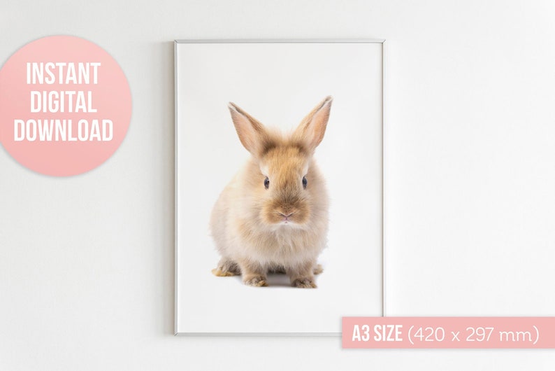 Baby Animals Print Full Set | Printable Nursery Wall Art Decor | Kids ...