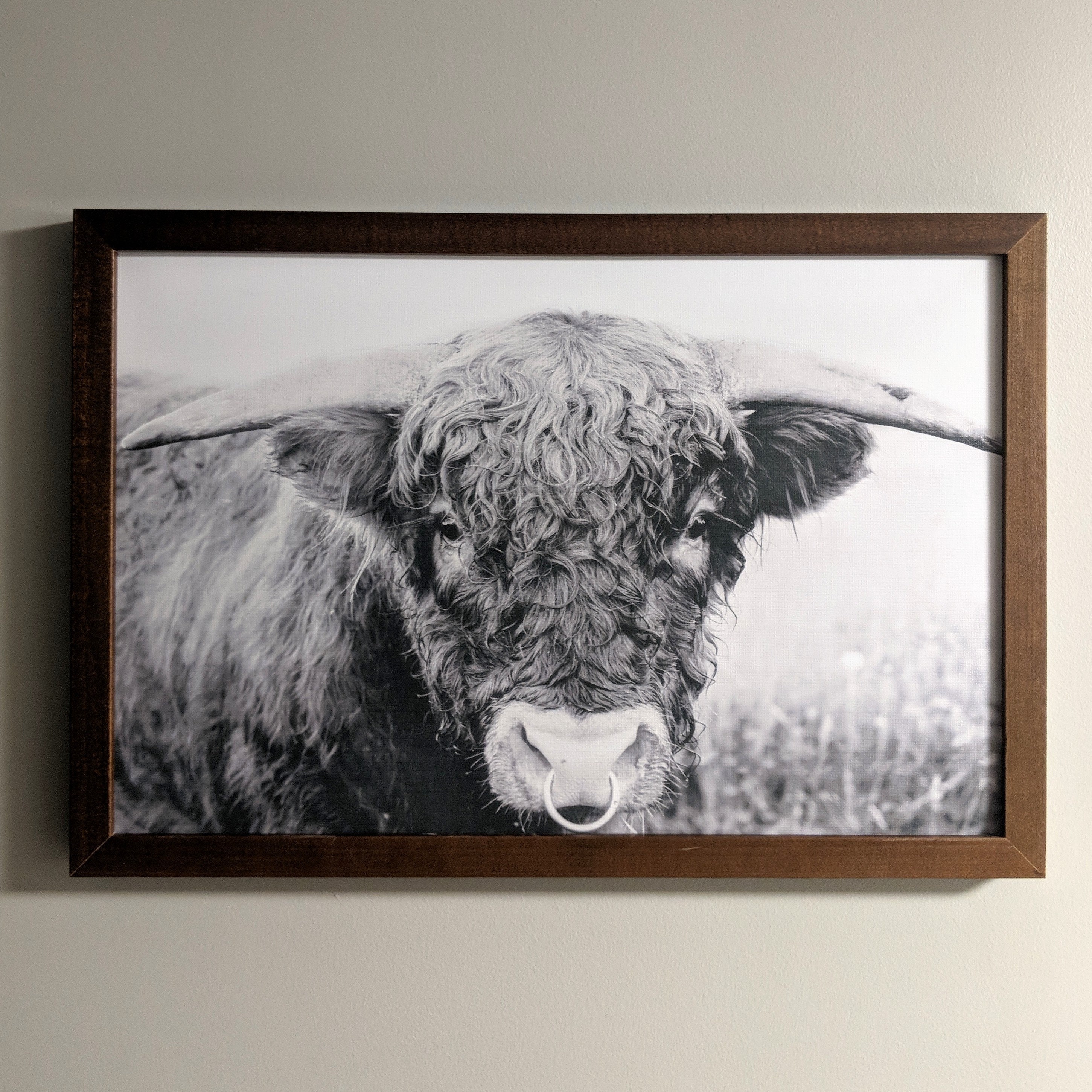 Highland Cow Print Frame/Cow Home Decor/Photography Print | Etsy