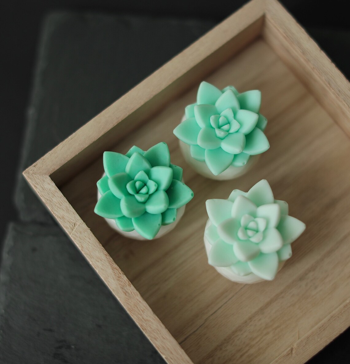 Succulent Handmade Soap Set of 2 - Etsy