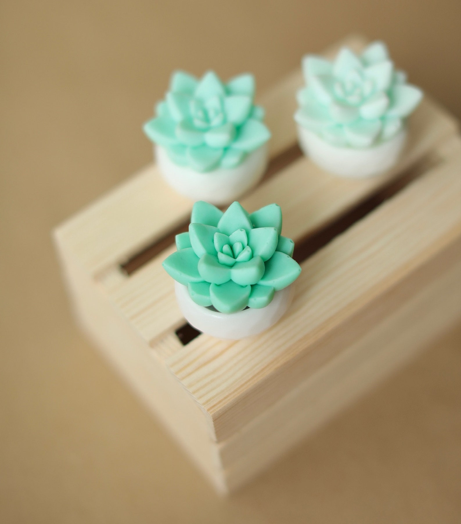 Succulent Handmade Soap Set of 2 - Etsy