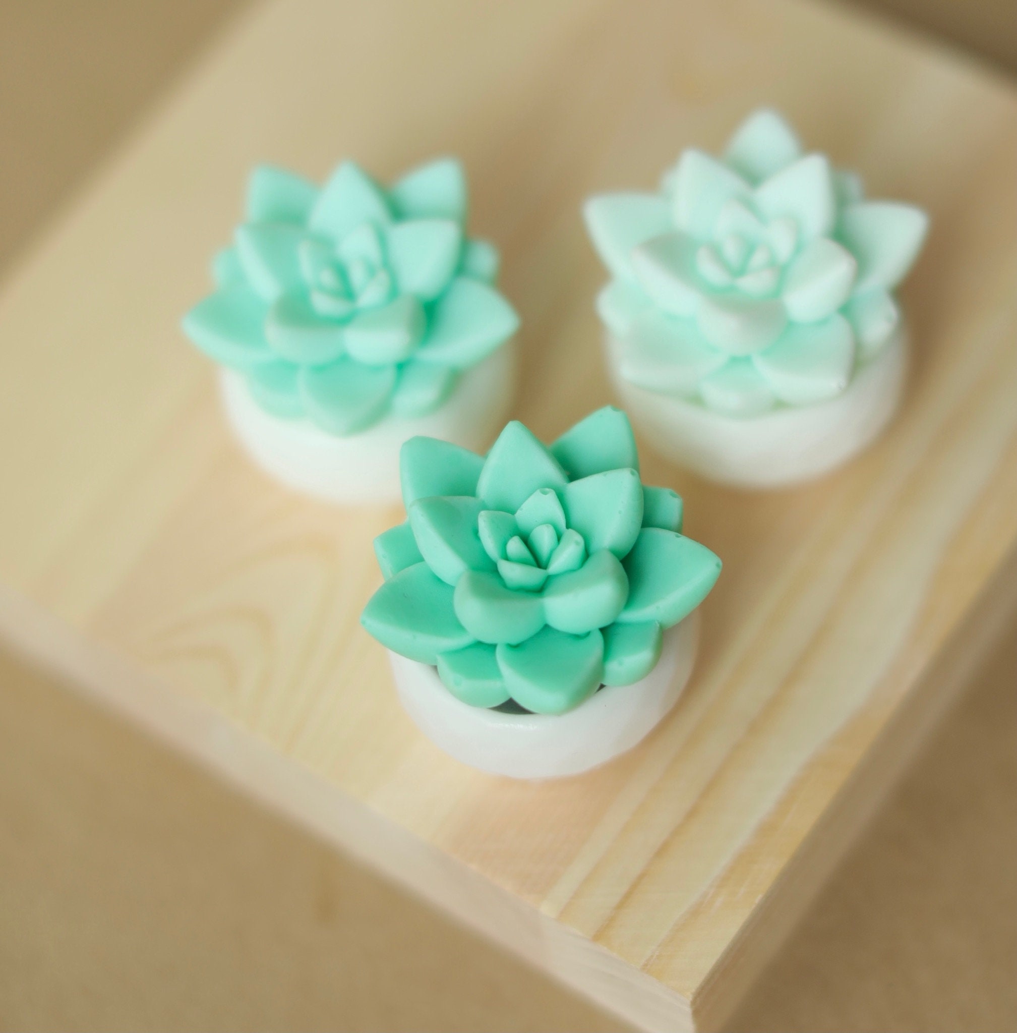 Succulent Handmade Soap Set of 2 - Etsy