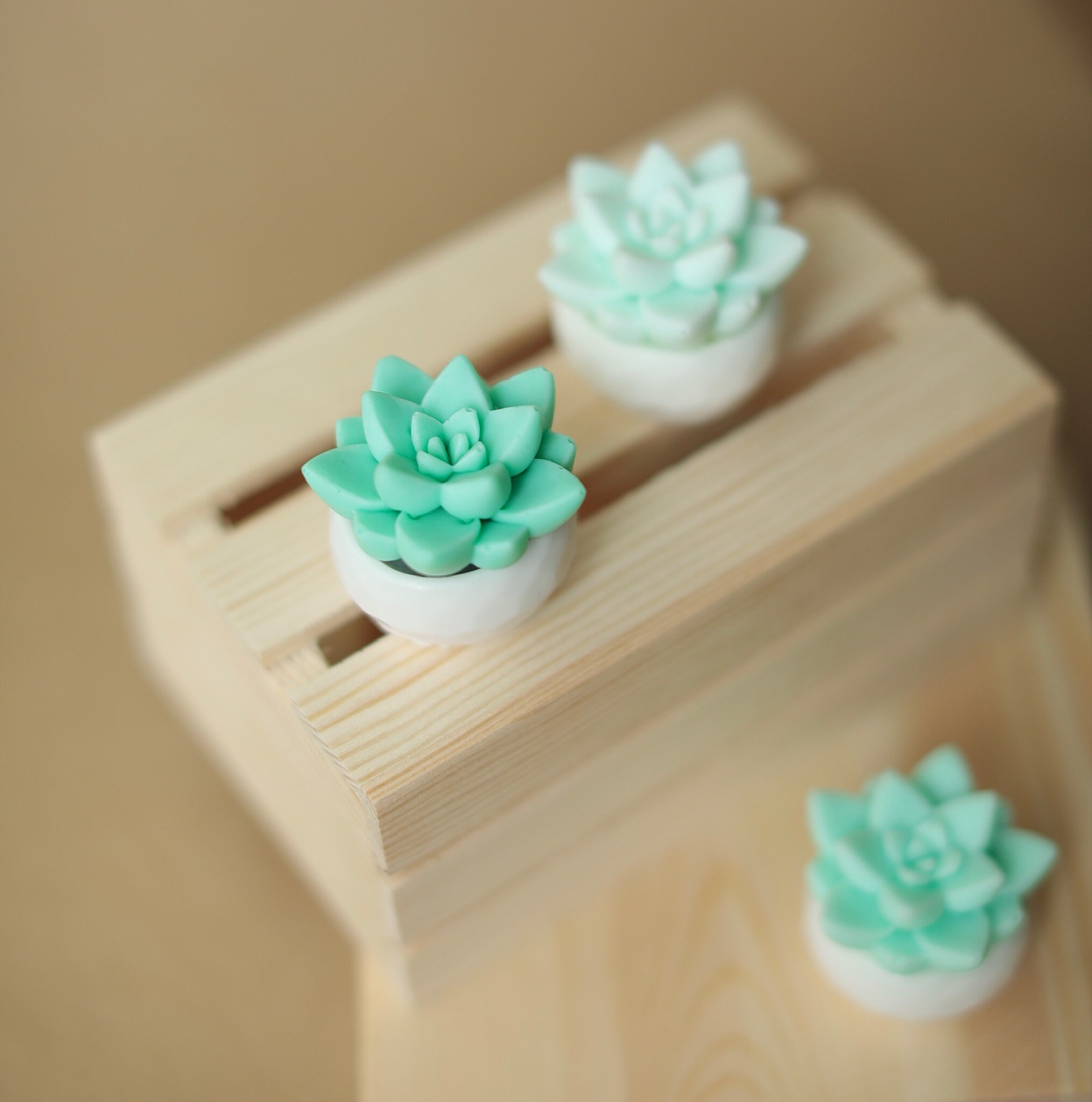 Succulent Handmade Soap Set of 2 - Etsy