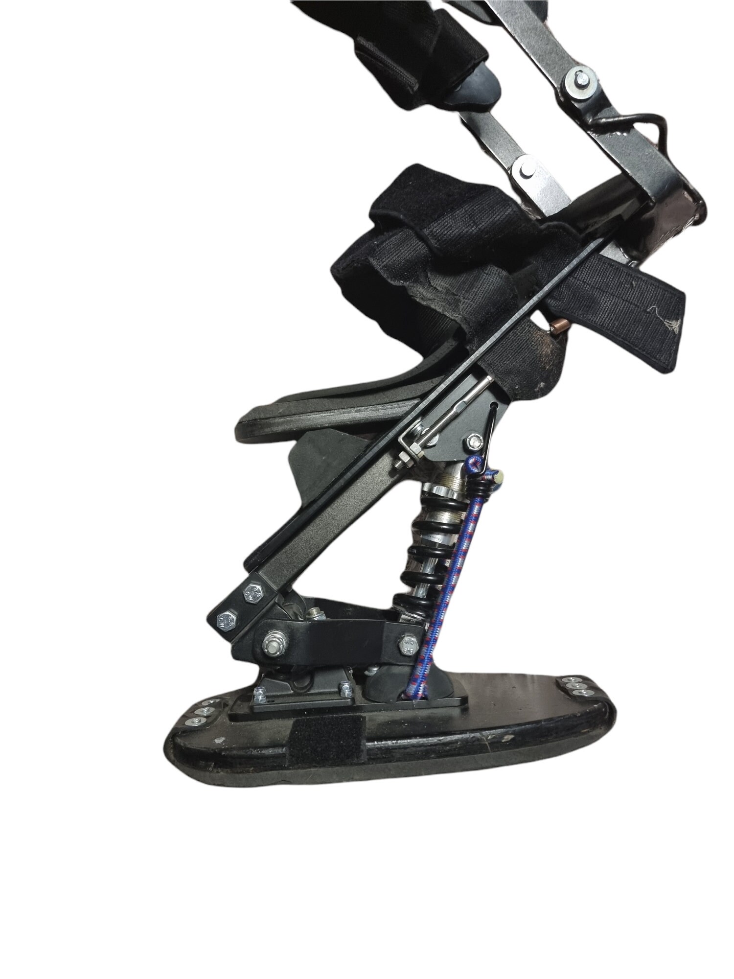 Monster Legs (modified Digilegs) - Etsy