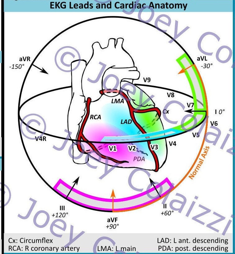 EKG Pocket Guide - Etsy