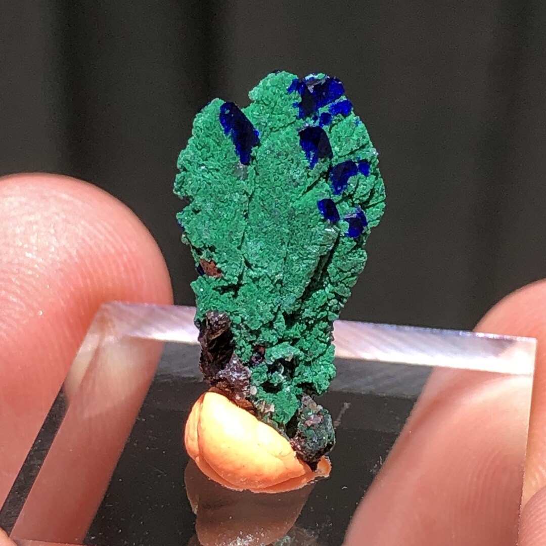 2.0cm Malachite Partial Pseudomorph Azurite Thumbnail From Zacatecas ...