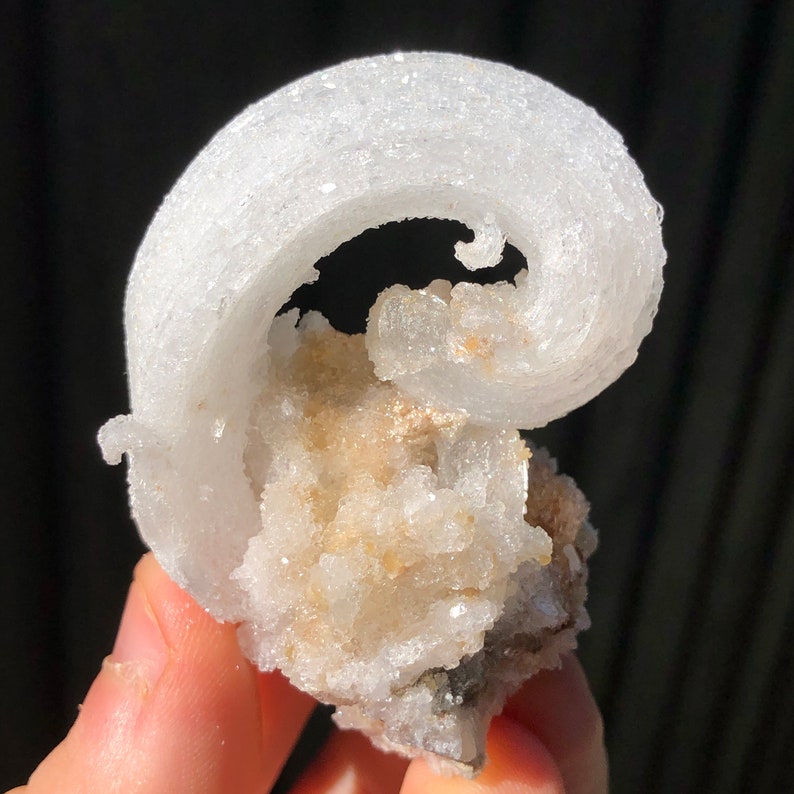 6.5cm Gypsum Var. Selenite 'ram's Horn' From Qinglong Mine, China - Etsy