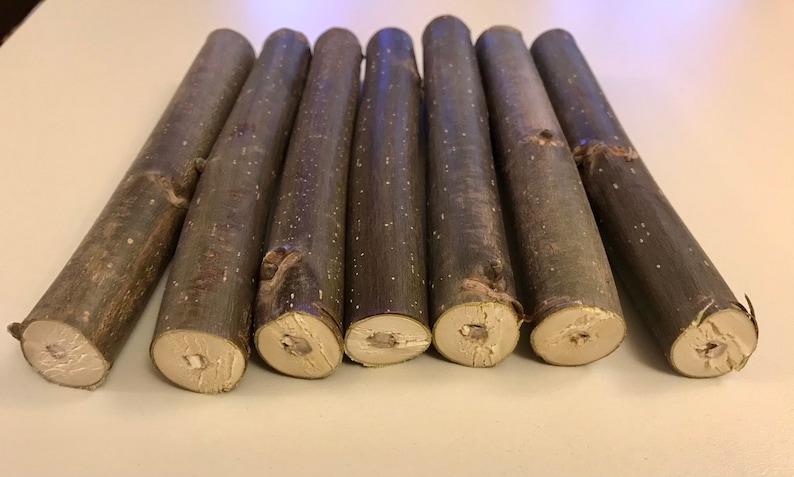 Wood Branch Wood Stick Wood Craft Supply Craft Sticks Natural - Etsy