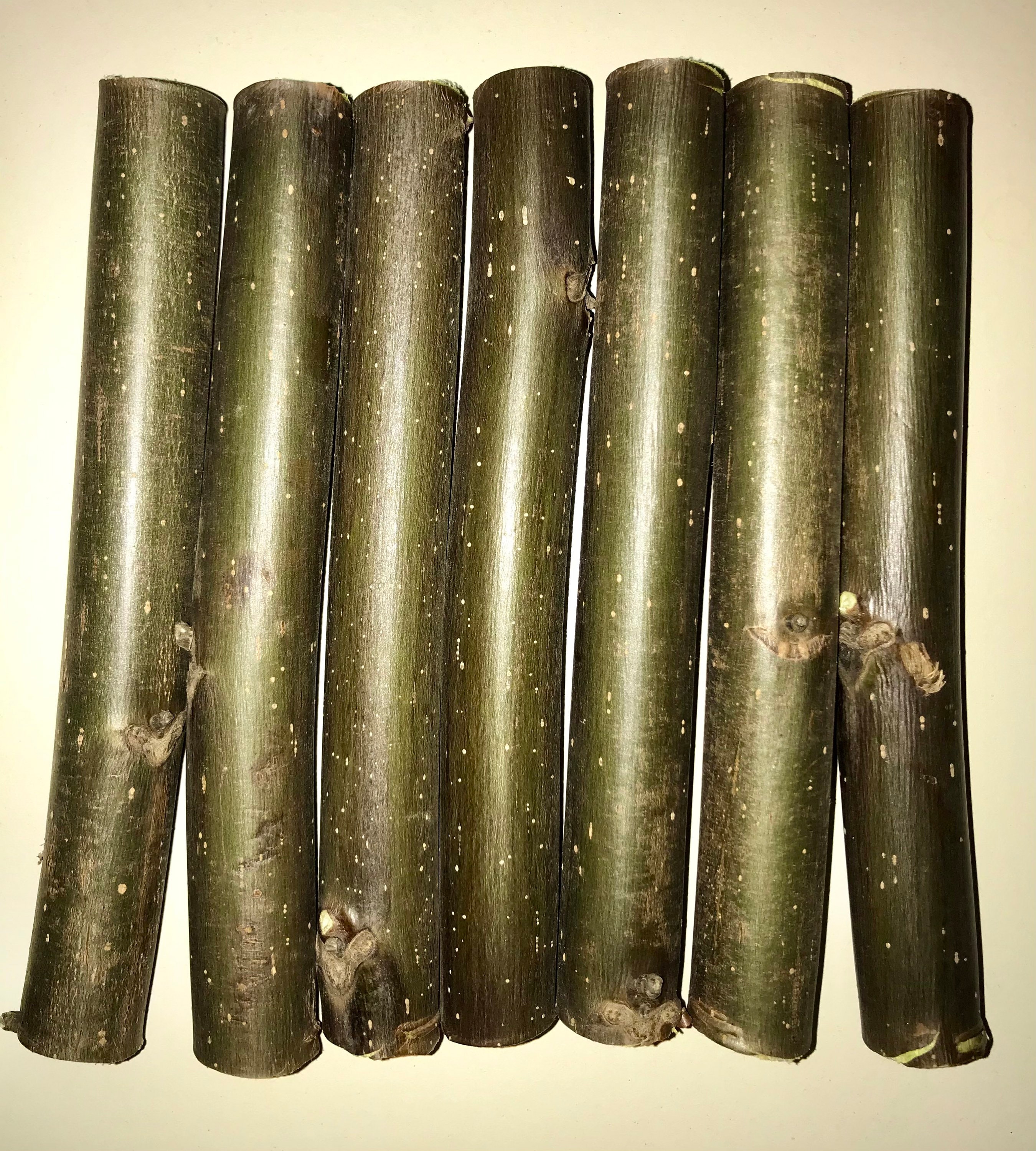 Wood Branch Wood Stick Wood Craft Supply Craft Sticks Natural - Etsy