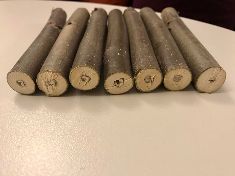 Wood Branch Wood Stick Wood Craft Supply Craft Sticks Natural - Etsy