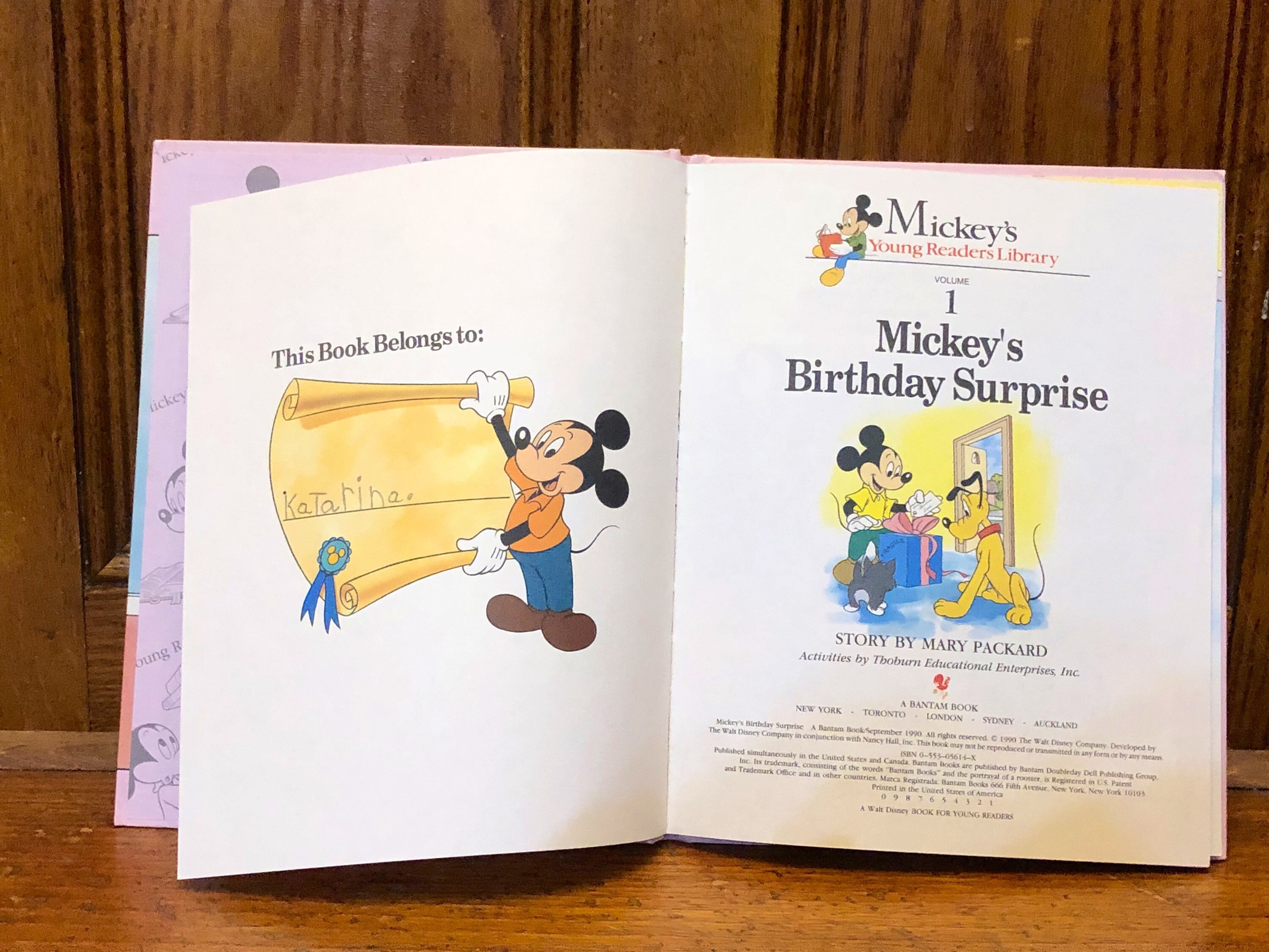 Vintage 1986 Mickeys Young Readers Library Mickeys Birthday Surprise ...