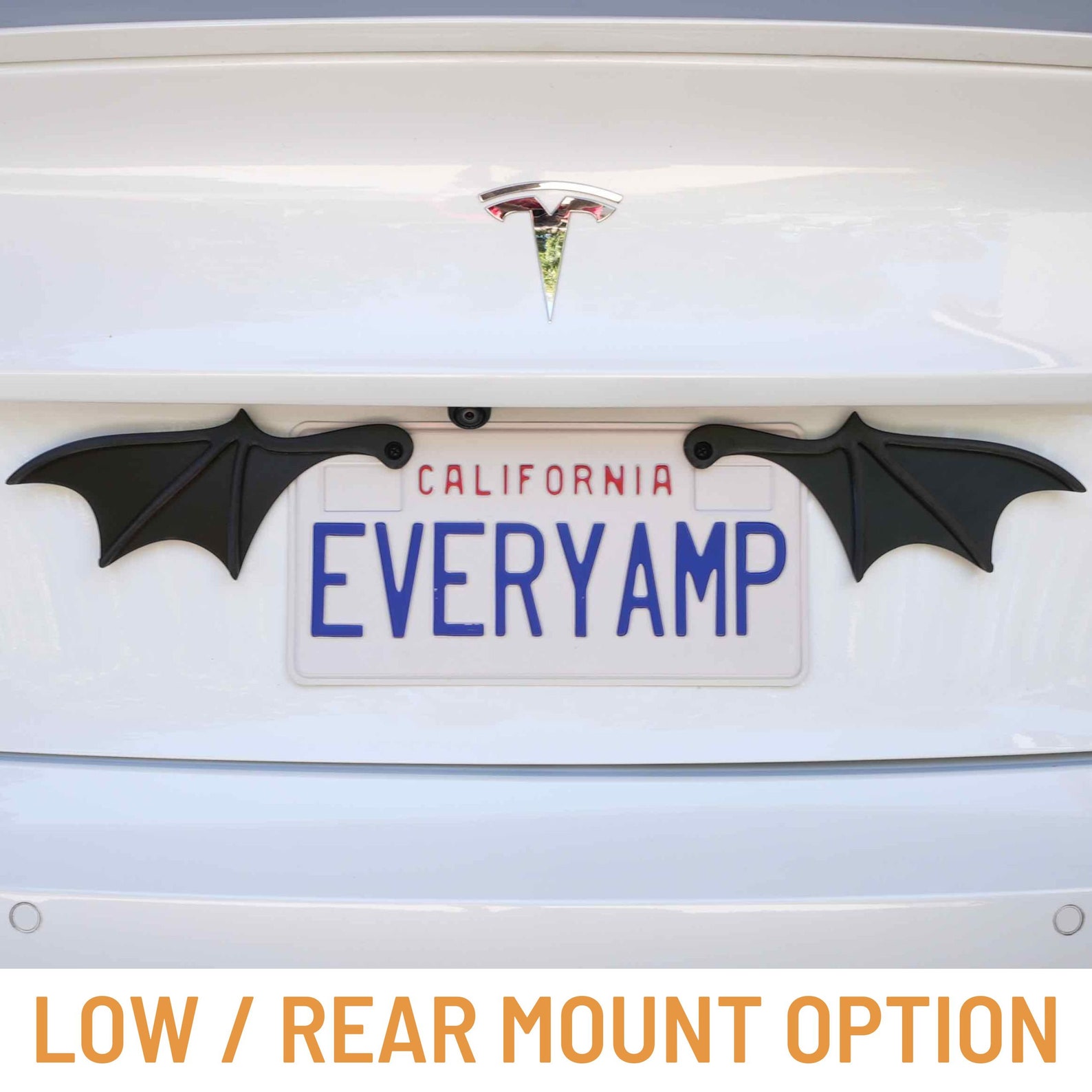License Plate Bat Wings universal Fit - Etsy