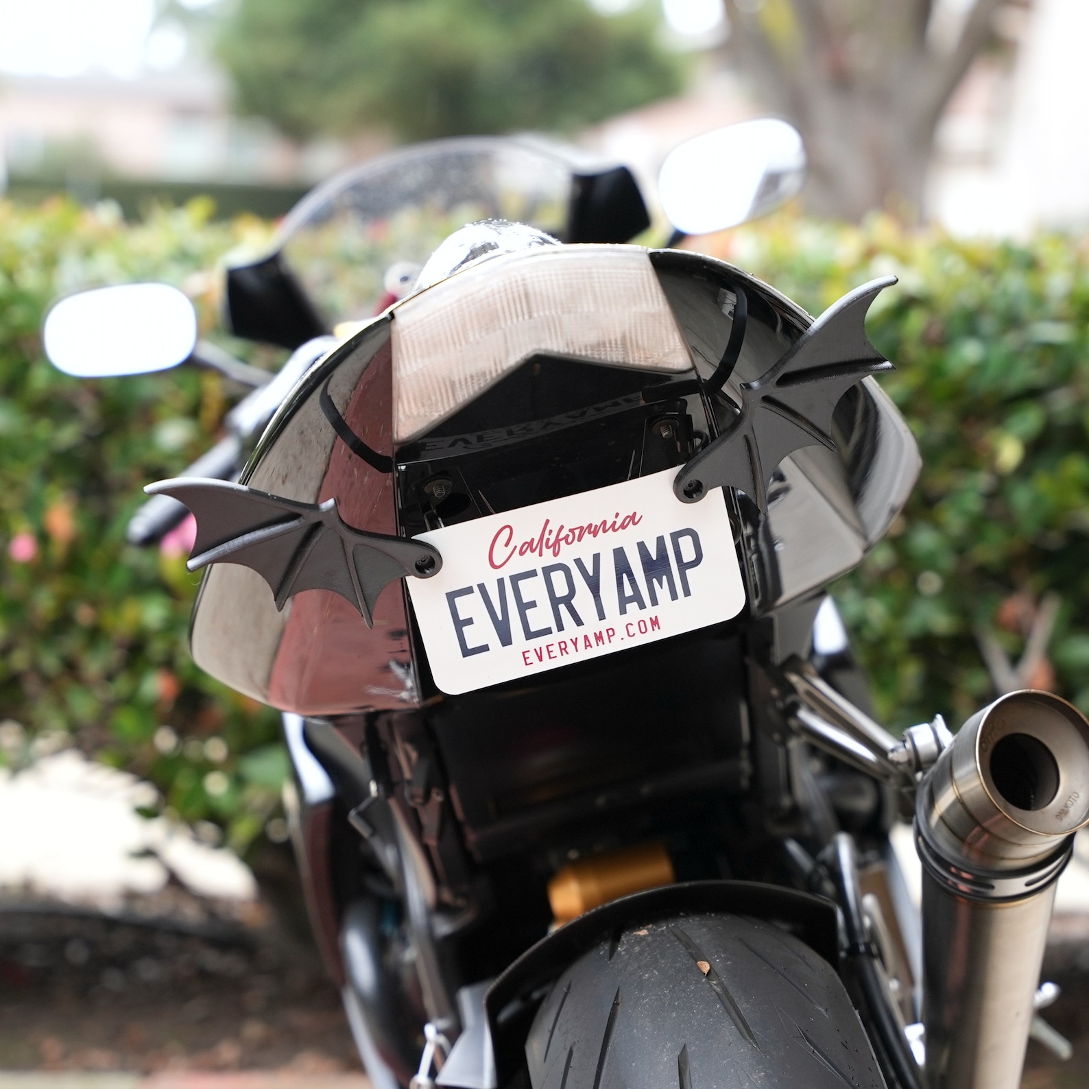 License Plate Bat Wings universal Fit - Etsy