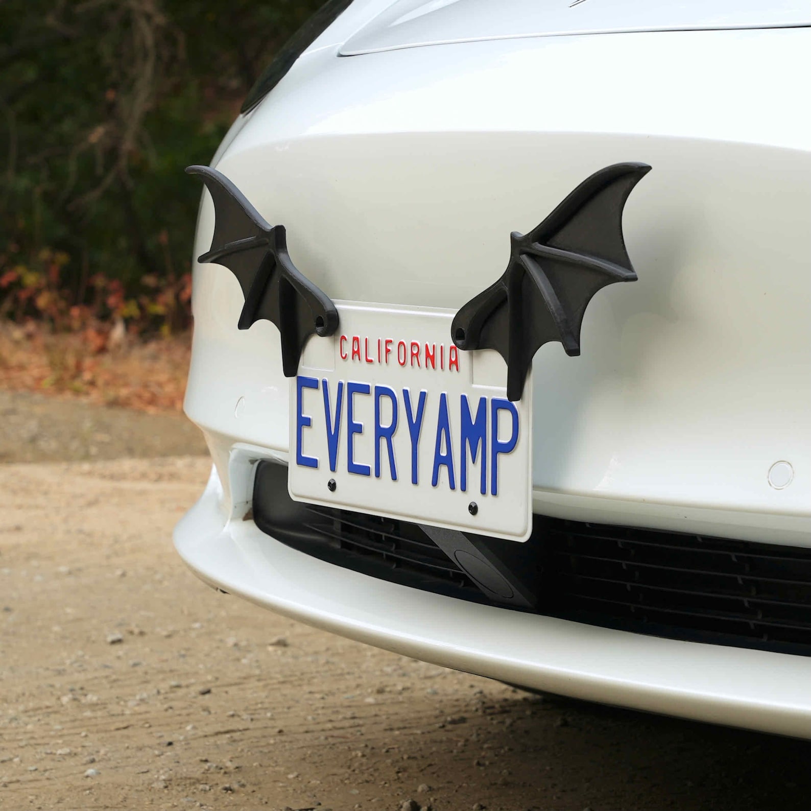 License Plate Bat Wings universal Fit - Etsy