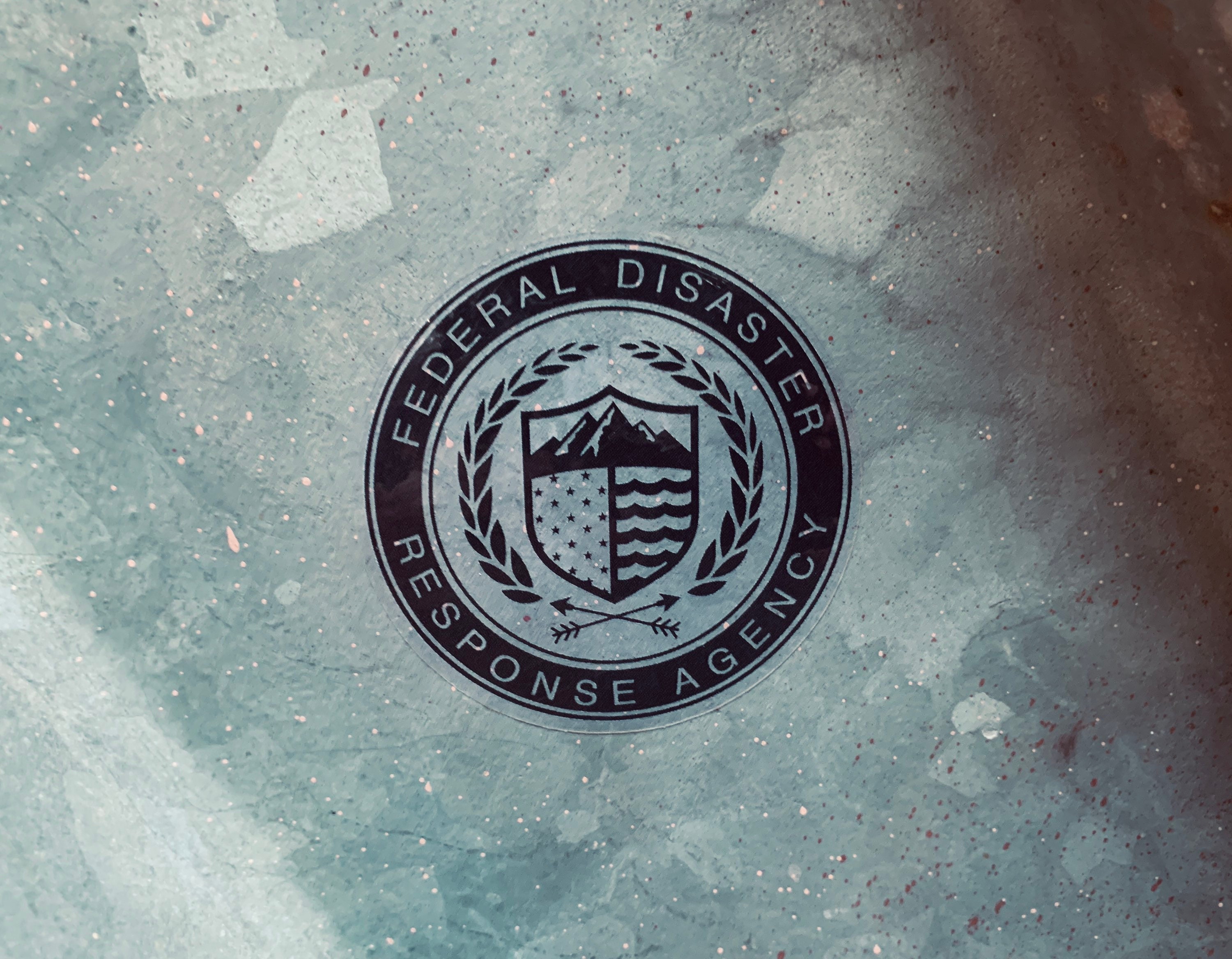 FEDRA Vinyl Sticker the Last of Us - Etsy Canada