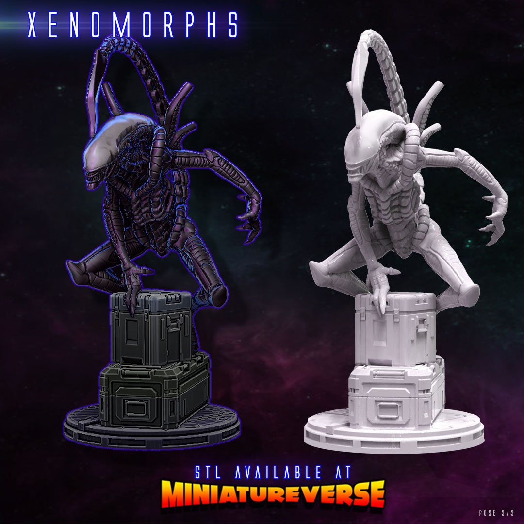 ALIEN Xenomorph STL Pose 3 | Etsy