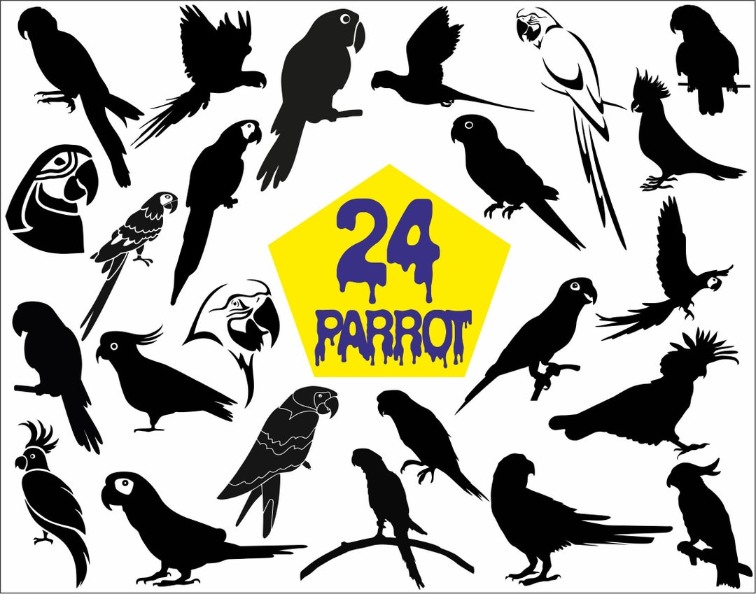 PARROT SVG, Parrot Clipart, Bird Svg, Parrot Silhouette, Parrot Svg ...