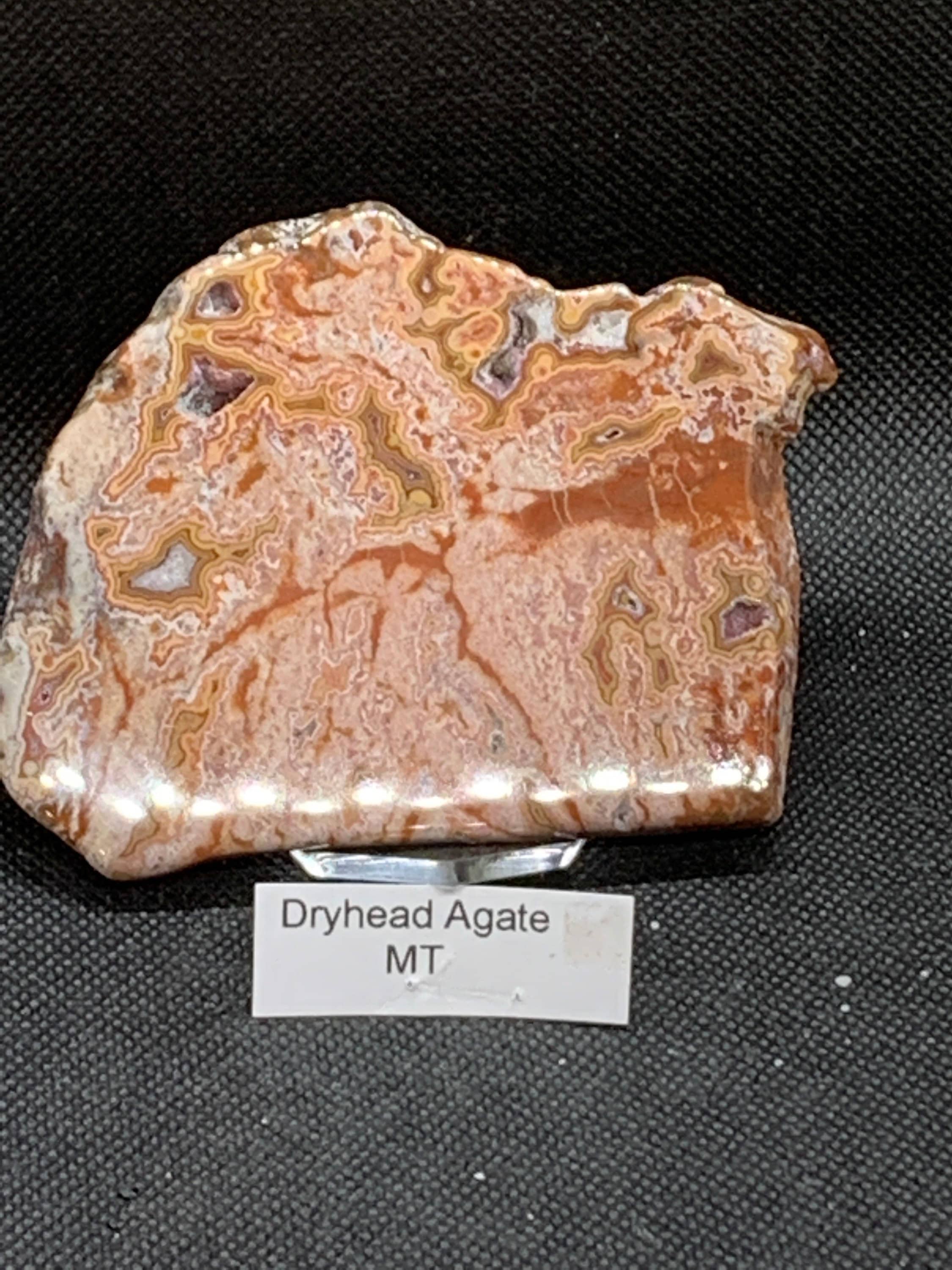 Dryhead Agate Display Slab de Montana American Seller Fast Shipping ...