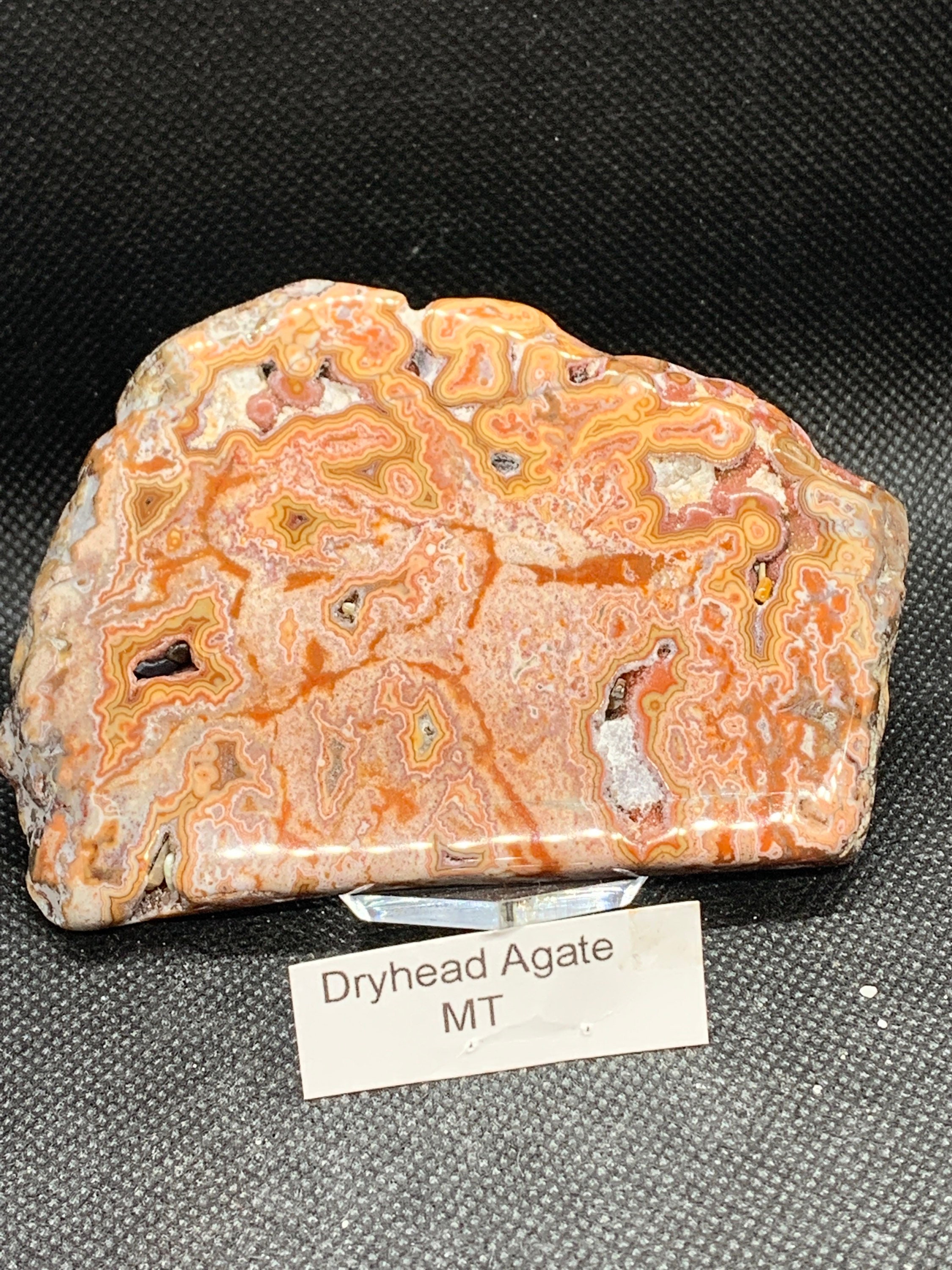Dryhead Agate Display Slab from Montana American Seller Fast | Etsy