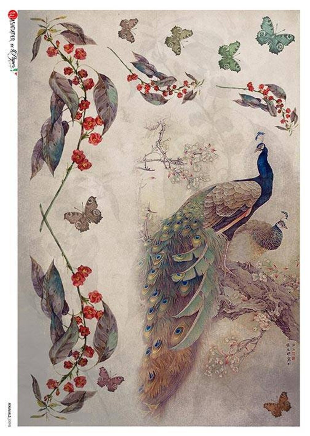 Paper Designs - Decoupage Paper - Animals - DIY - Crafts - Peacock - PD ...