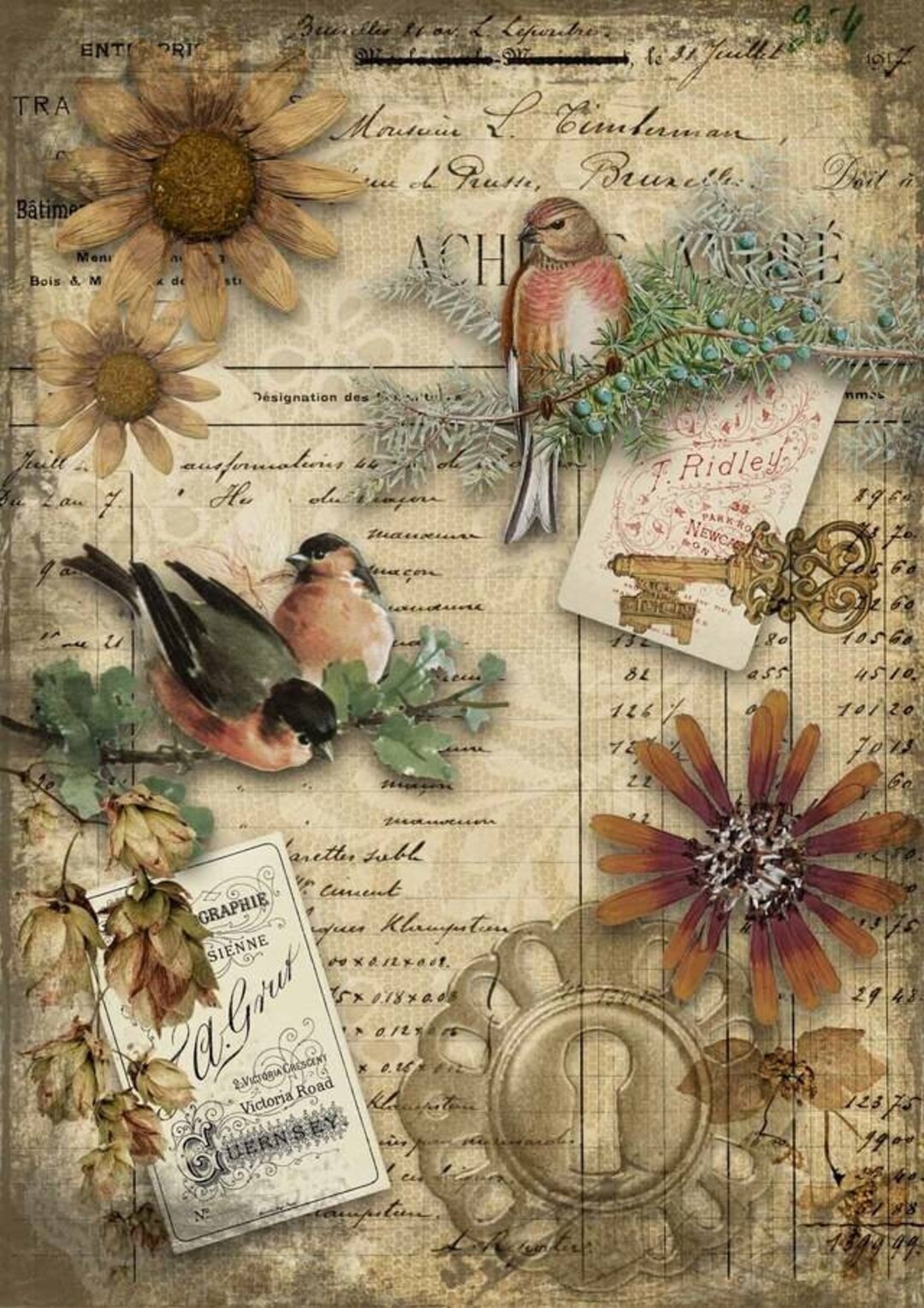 Decoupage Queen Rice Decoupage Paper Autumn Birds A3 or A4 - Etsy