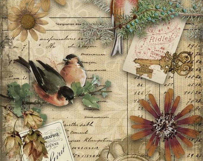 Decoupage Queen Rice Decoupage Paper - Autumn Birds A3 or A4 - Etsy