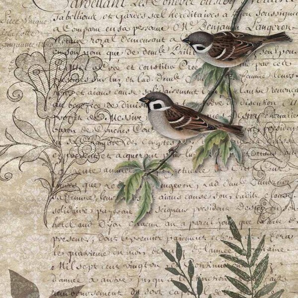 Decoupage Birds - Etsy