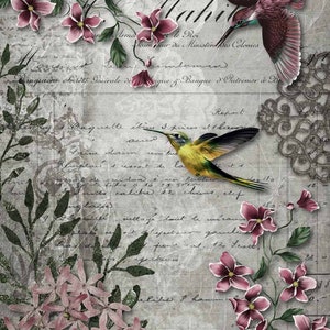 Decoupage Paper | Hummingbird Song | Tissue Paper | Decoupage Queen ...