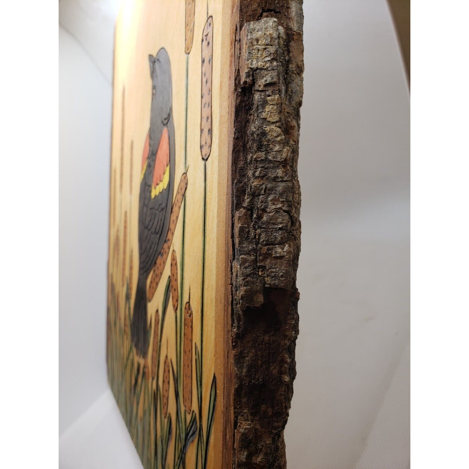 Robin Bird Carved and Painted Panel Pyrography Art Wood Burn Wooden ...