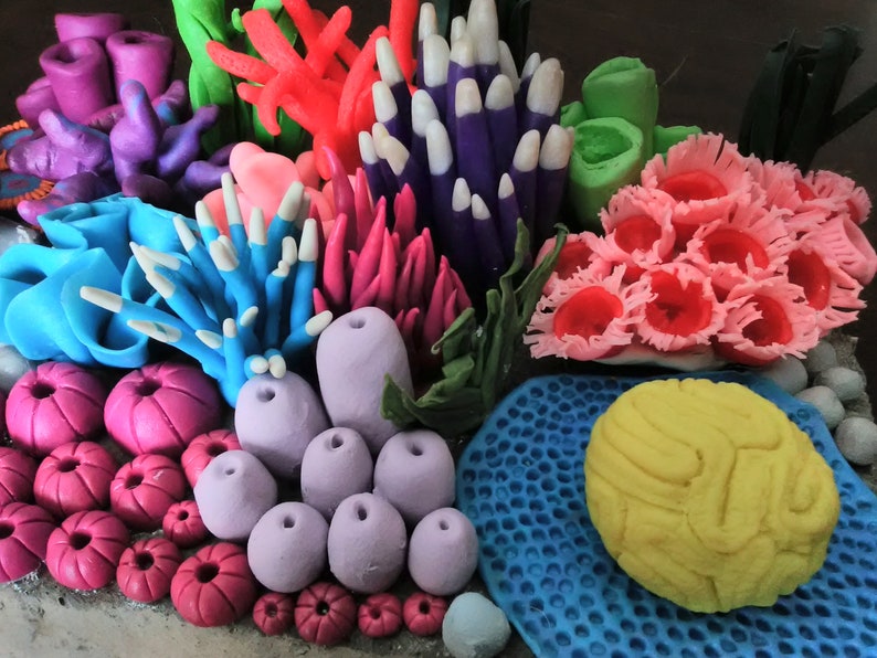 Coral Reef Diorama With Starfish, Octopus, Brain Coral and More - Etsy