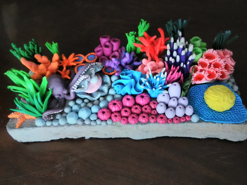 Coral Reef Diorama With Starfish, Octopus, Brain Coral and More - Etsy