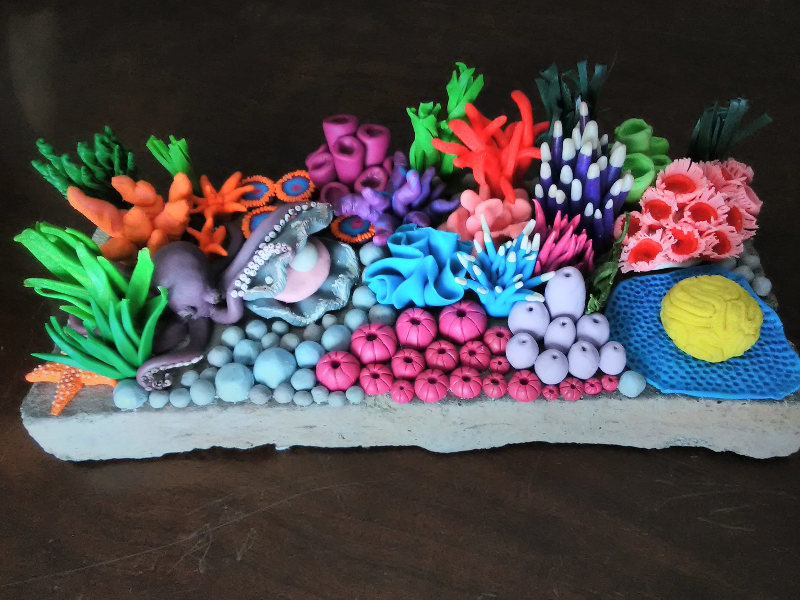 Coral Reef Diorama With Starfish, Octopus, Brain Coral and More - Etsy