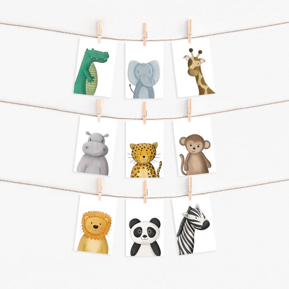 Safari Animal Postcards Set of 9 Jungle Animal Themed Note - Etsy