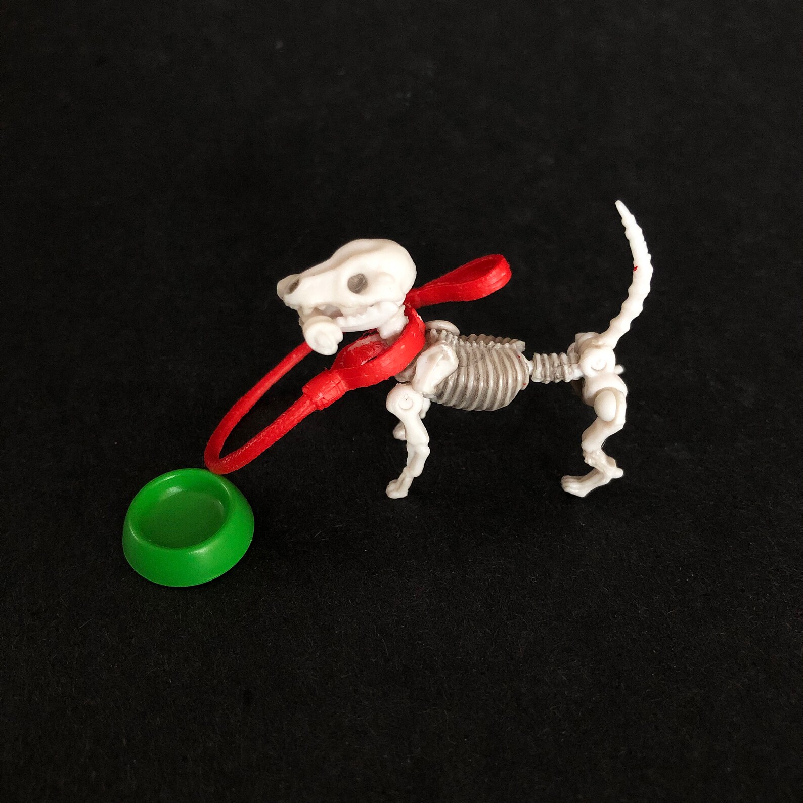 Skeleton Pirate Party Shamrock St. Patricks Day Valentine | Etsy