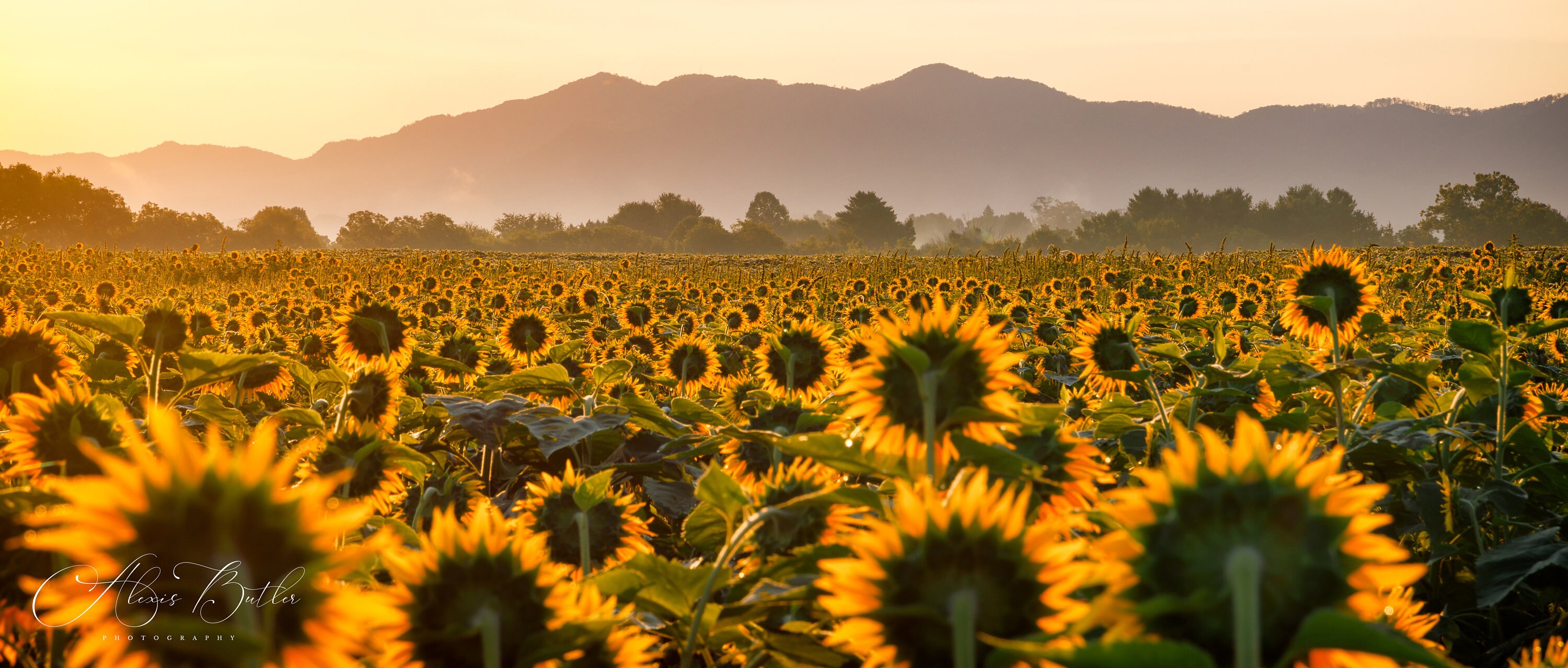 Cool September Morning - Etsy