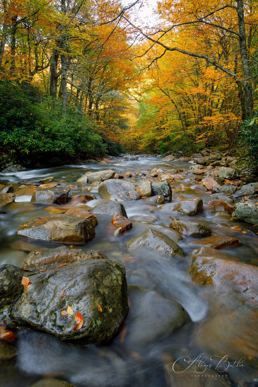 Flow Into Autumn - Etsy