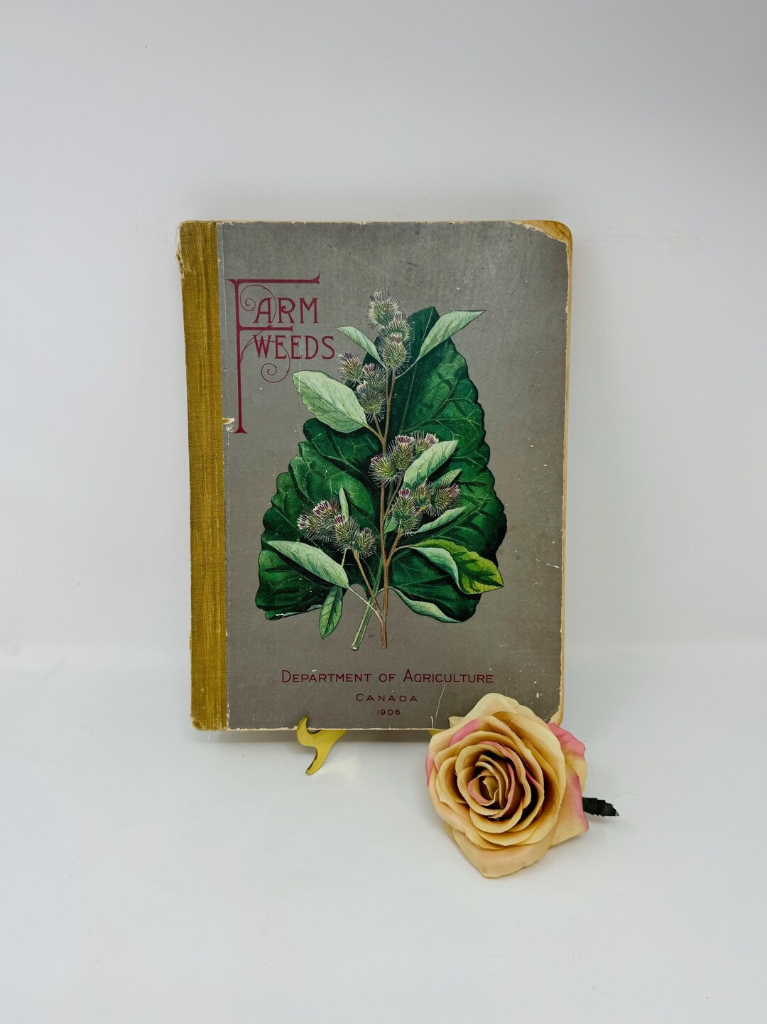 1906 Farm Weeds Lithographed Book | Rare Book Plates | Antiquarian Book ...