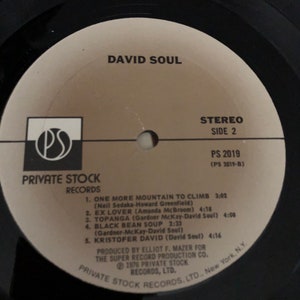 David Soul LP 11 Songs 1976 Private Stock Records - Etsy