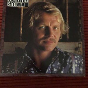David Soul LP 11 Songs 1976 Private Stock Records - Etsy