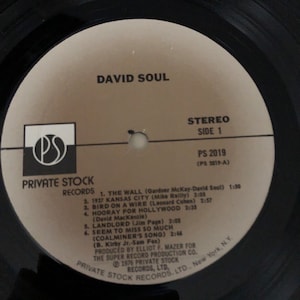 David Soul LP 11 Songs 1976 Private Stock Records - Etsy