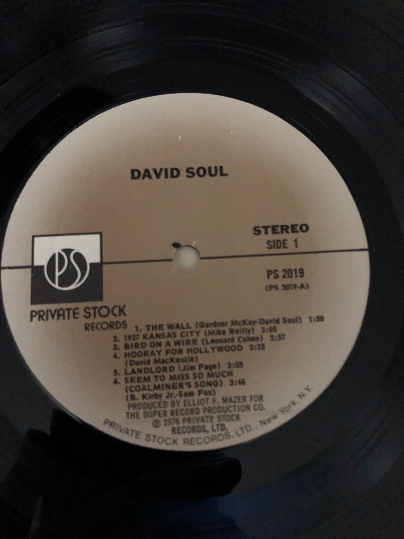 David Soul LP 11 Songs 1976 Private Stock Records - Etsy