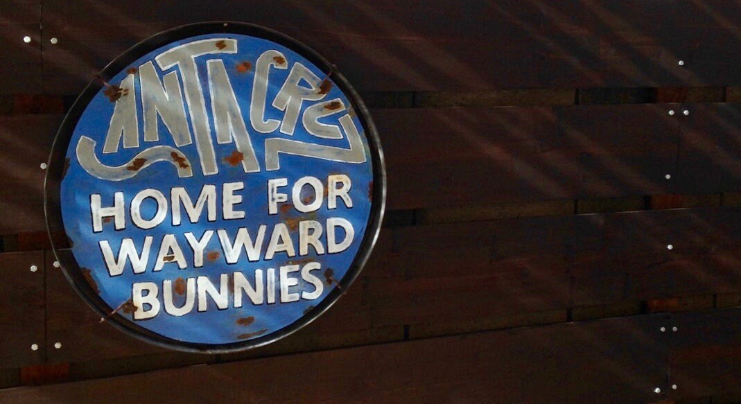 CUSTOM Hand Painted Signs - Etsy