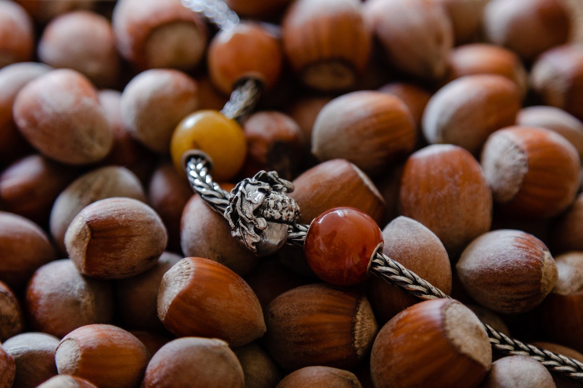 Yugen Mighty AcornGreat oaks grow from | Etsy